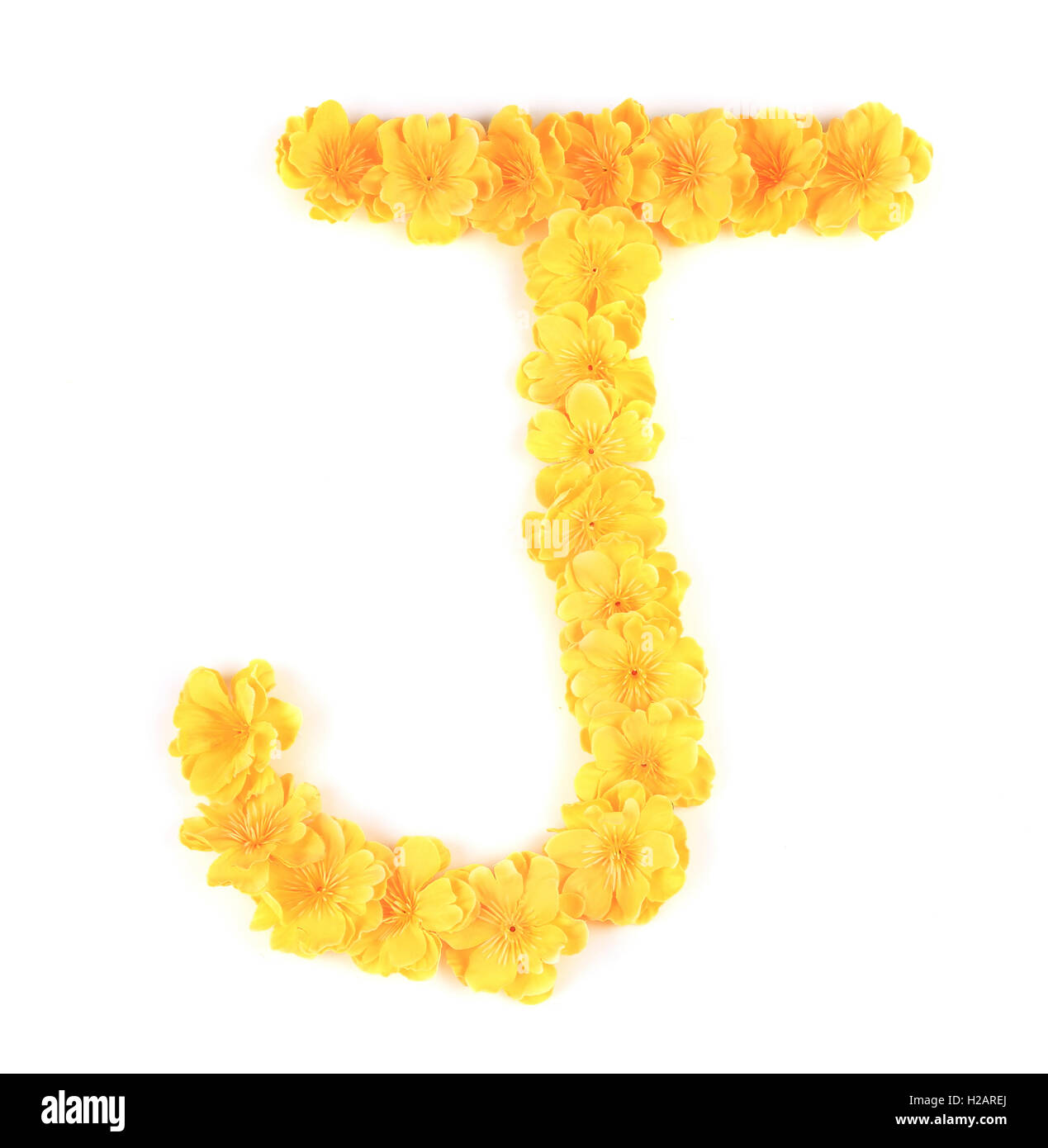 Letter J flower alphabet Stock Photo - Alamy