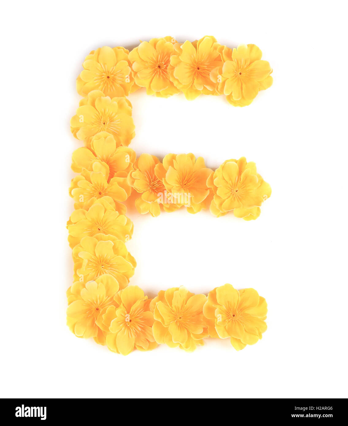 Letter E flower alphabet Stock Photo - Alamy