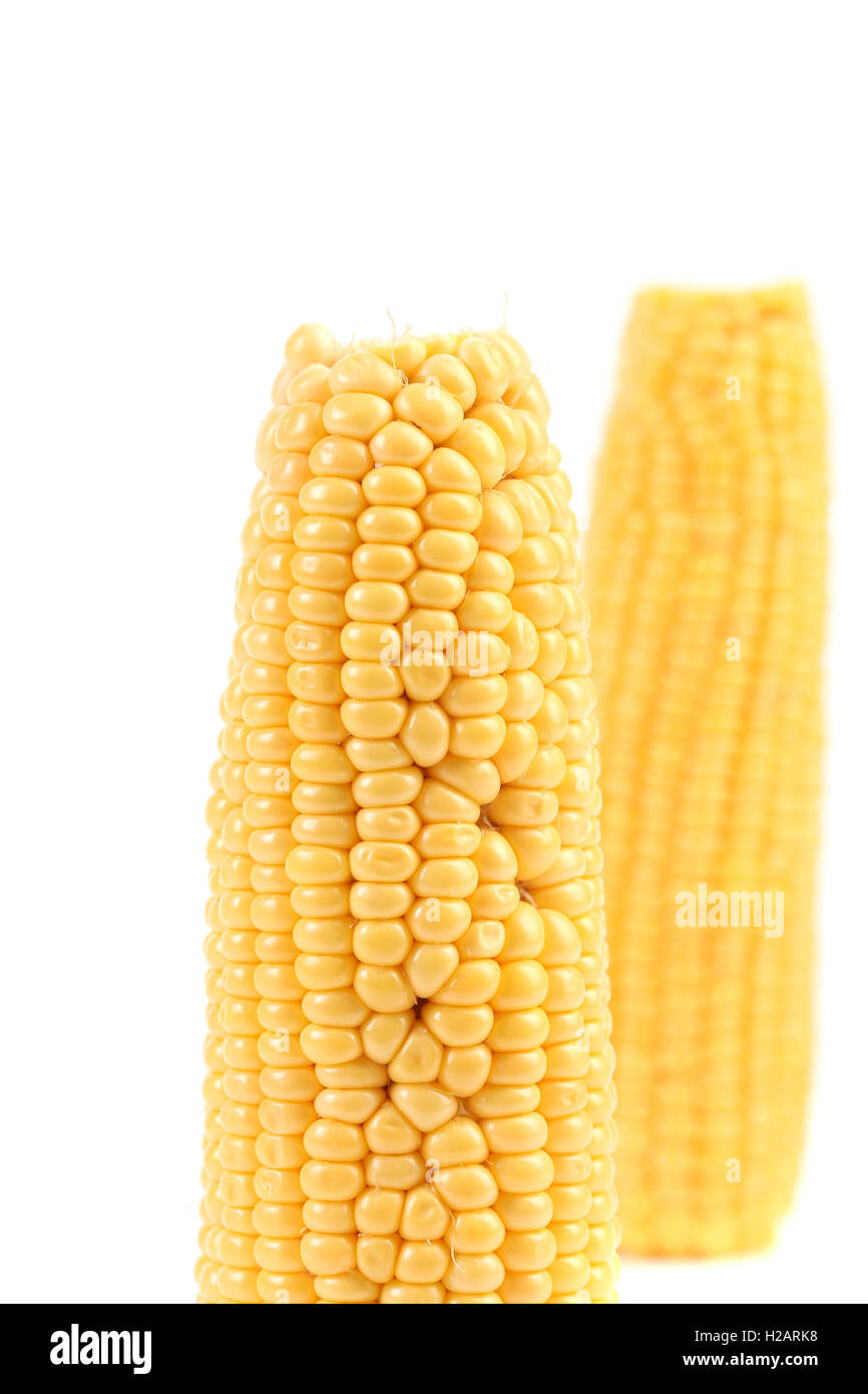 Close up of fresh corn ear Stock Photo - Alamy