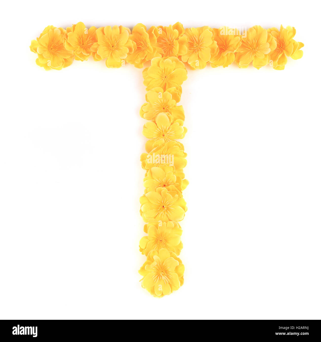 Letter T flower alphabet Stock Photo - Alamy