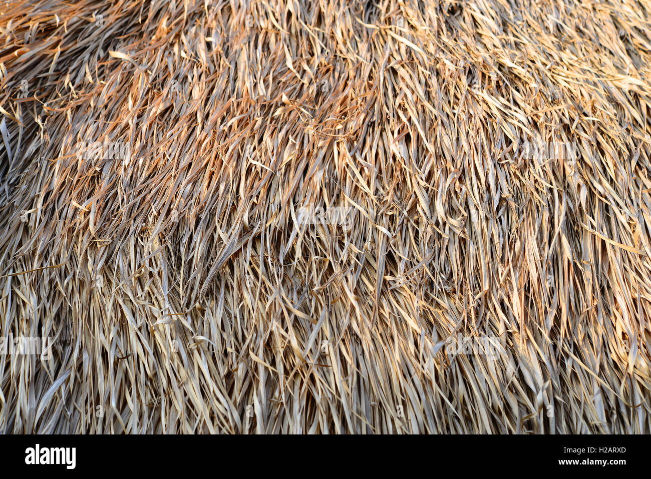 Tropical woven roof hi-res stock photography and images - Alamy