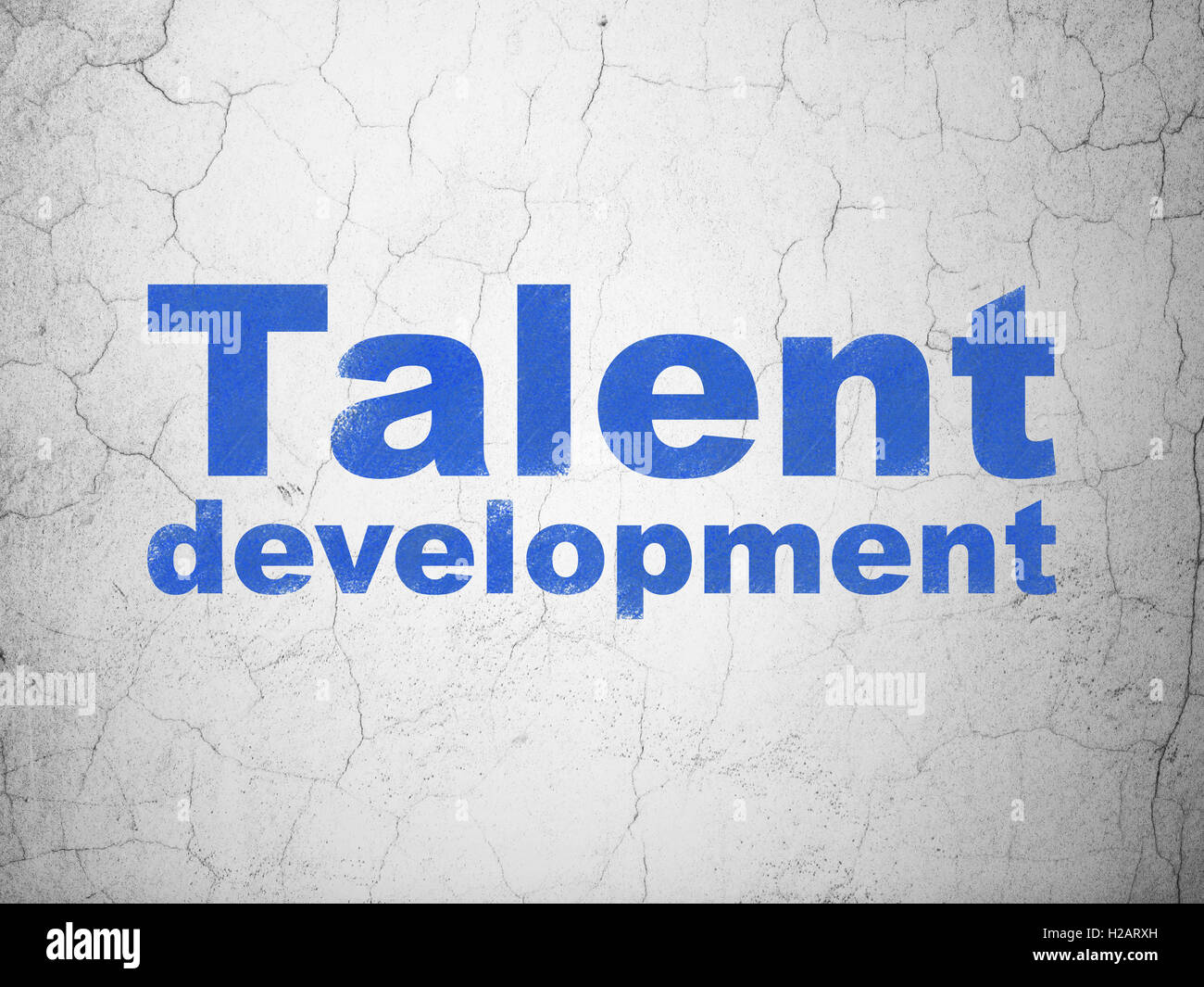 Education concept: Talent Development on wall background Stock Photo ...