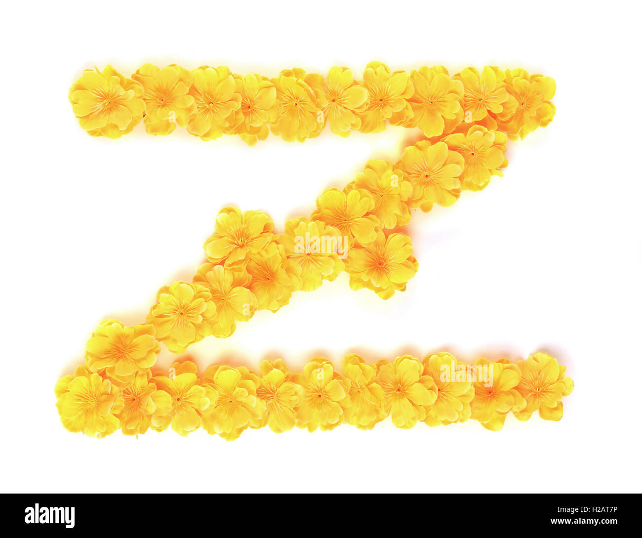 Letter Z flower alphabet Stock Photo - Alamy