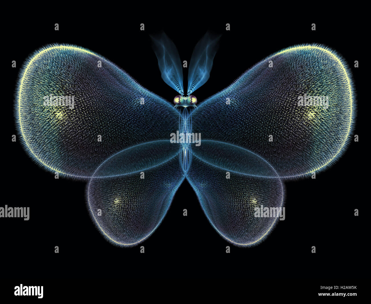 Imagination flight hi-res stock photography and images - Alamy