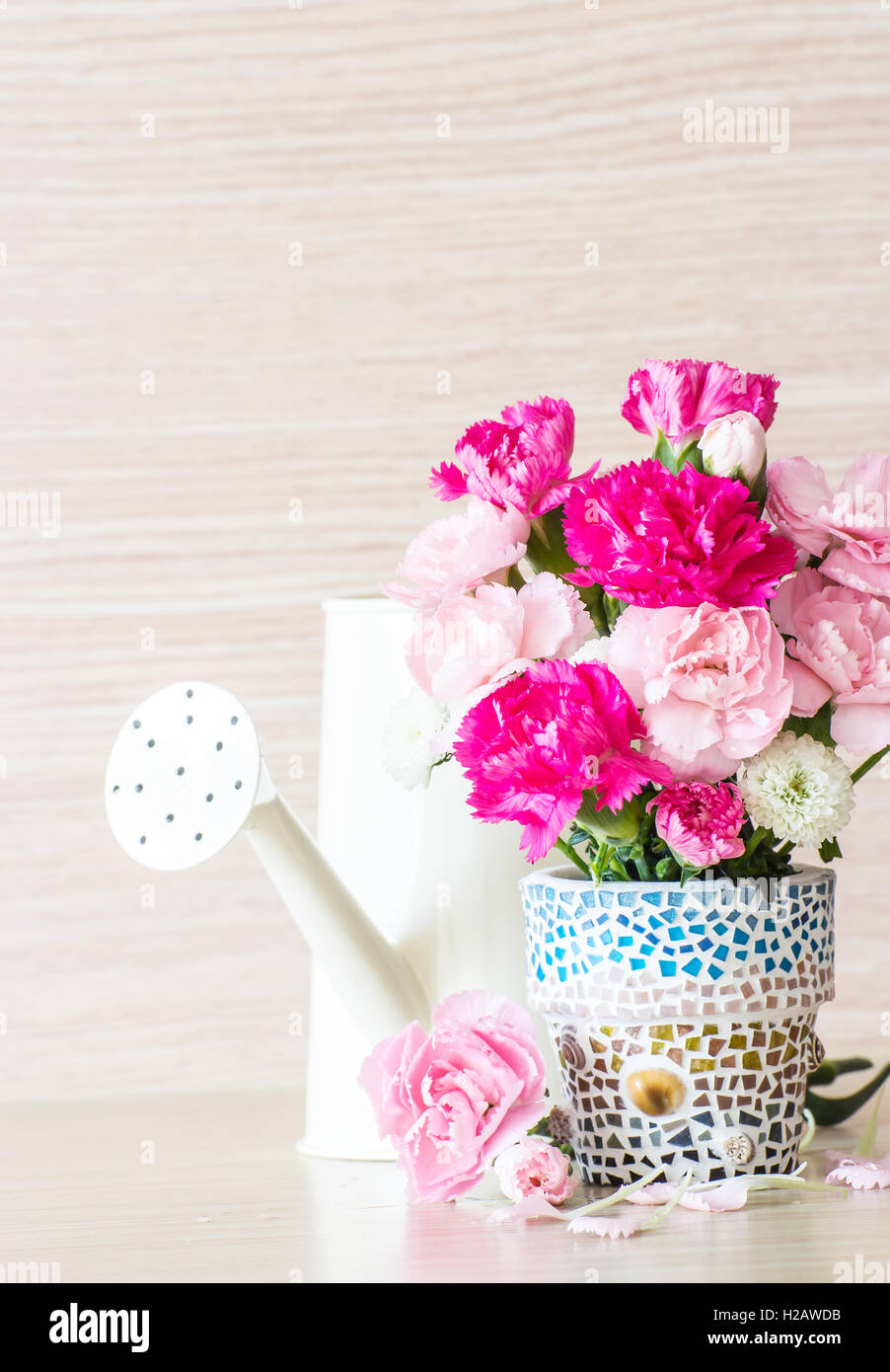 Pink carnation flower in pot hi-res stock photography and images - Alamy