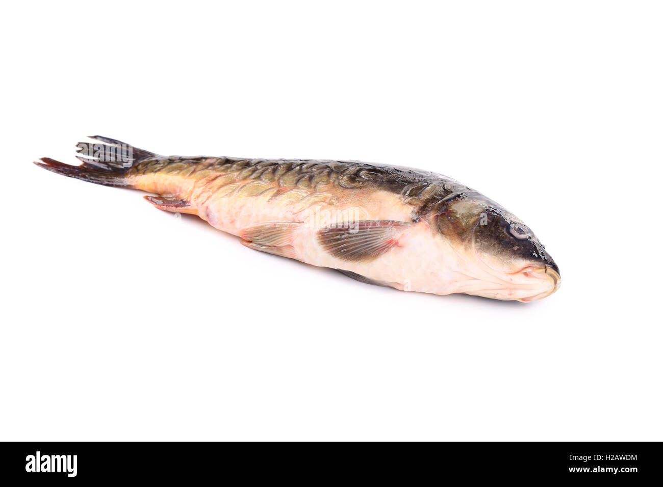 Raw mirror carp Stock Photo - Alamy