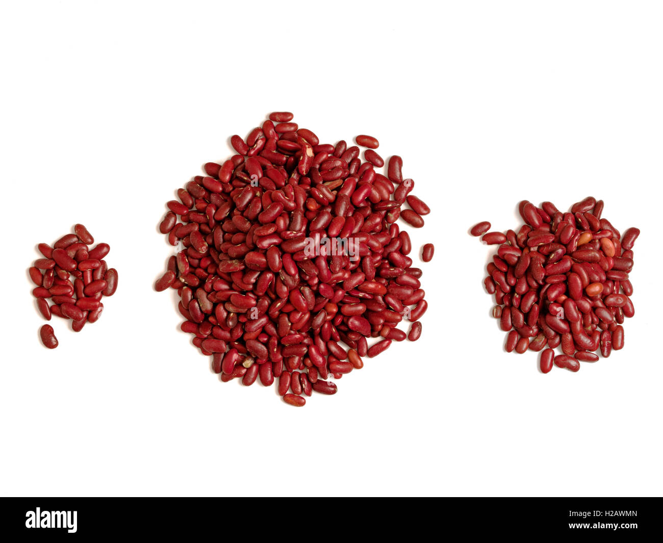 Bean Counter Accounting