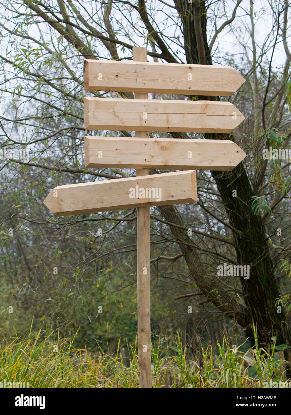 Wooden pointer in a forrest Stock Photo - Alamy