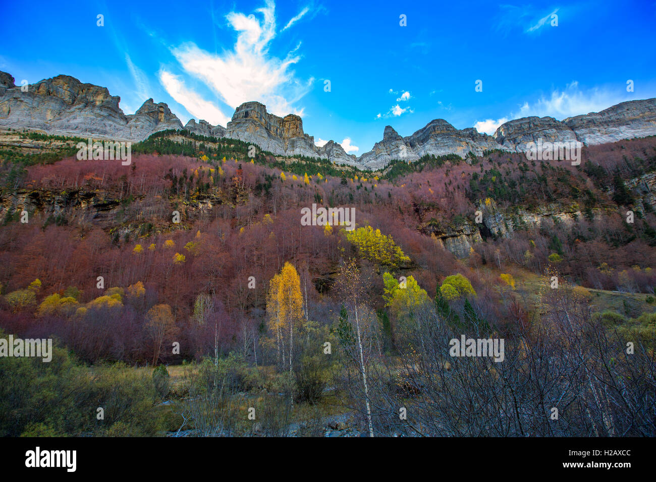 Pelay hi-res stock photography and images - Alamy