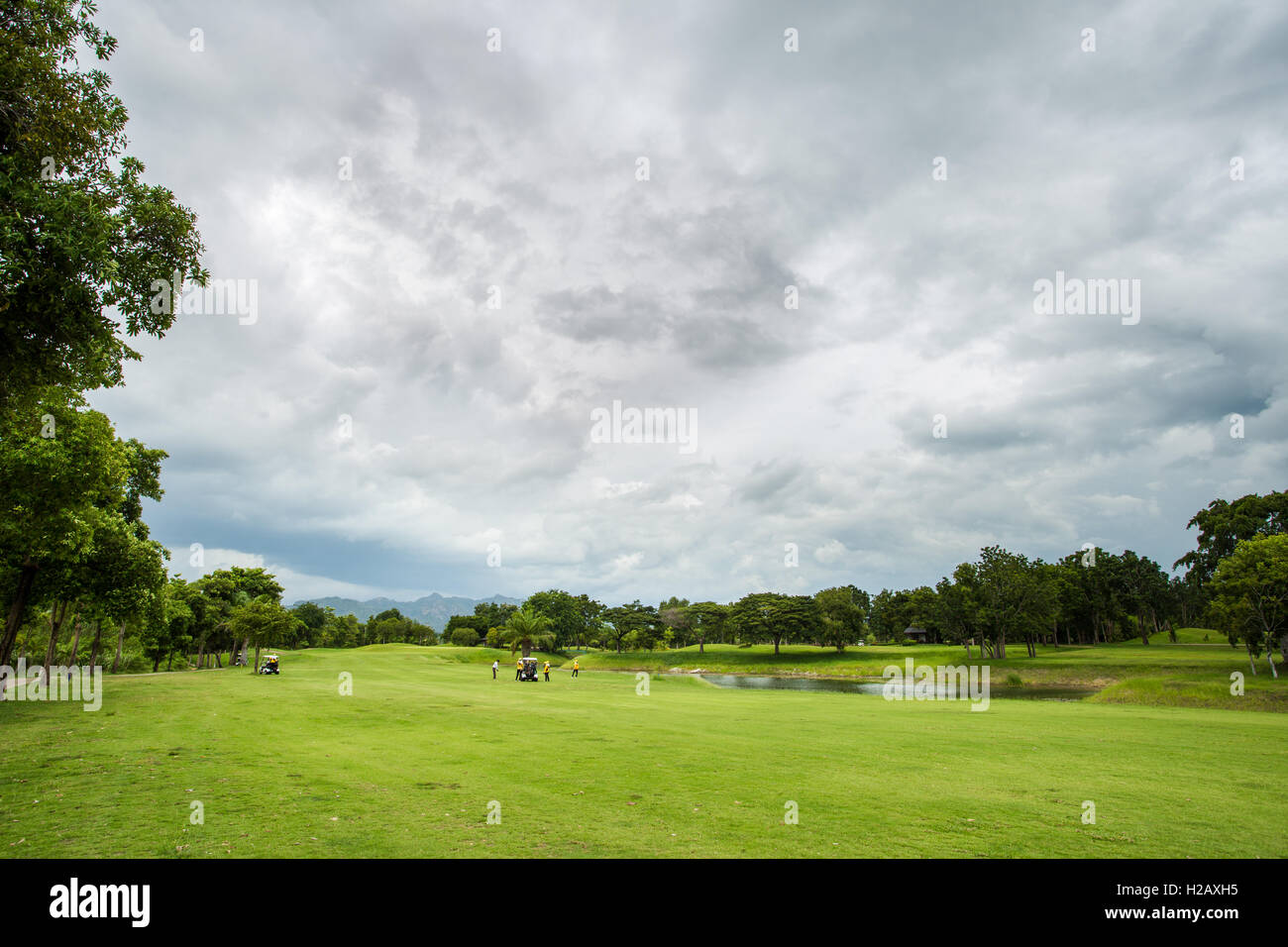 golf course with player Stock Photo - Alamy