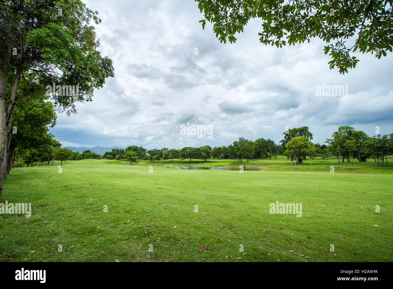 Golf course summer hi-res stock photography and images - Alamy