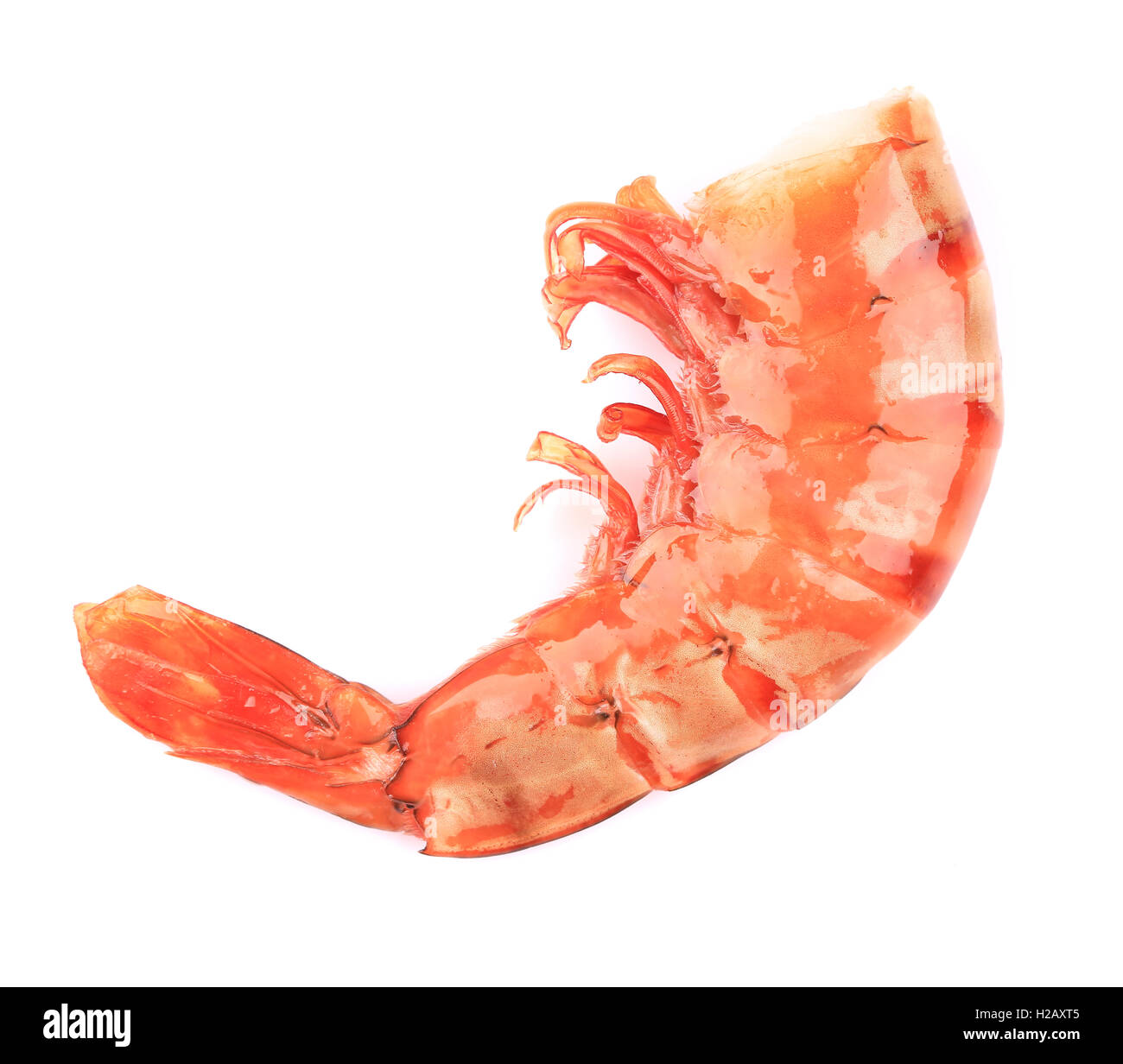Shrimp close up on white Stock Photo - Alamy