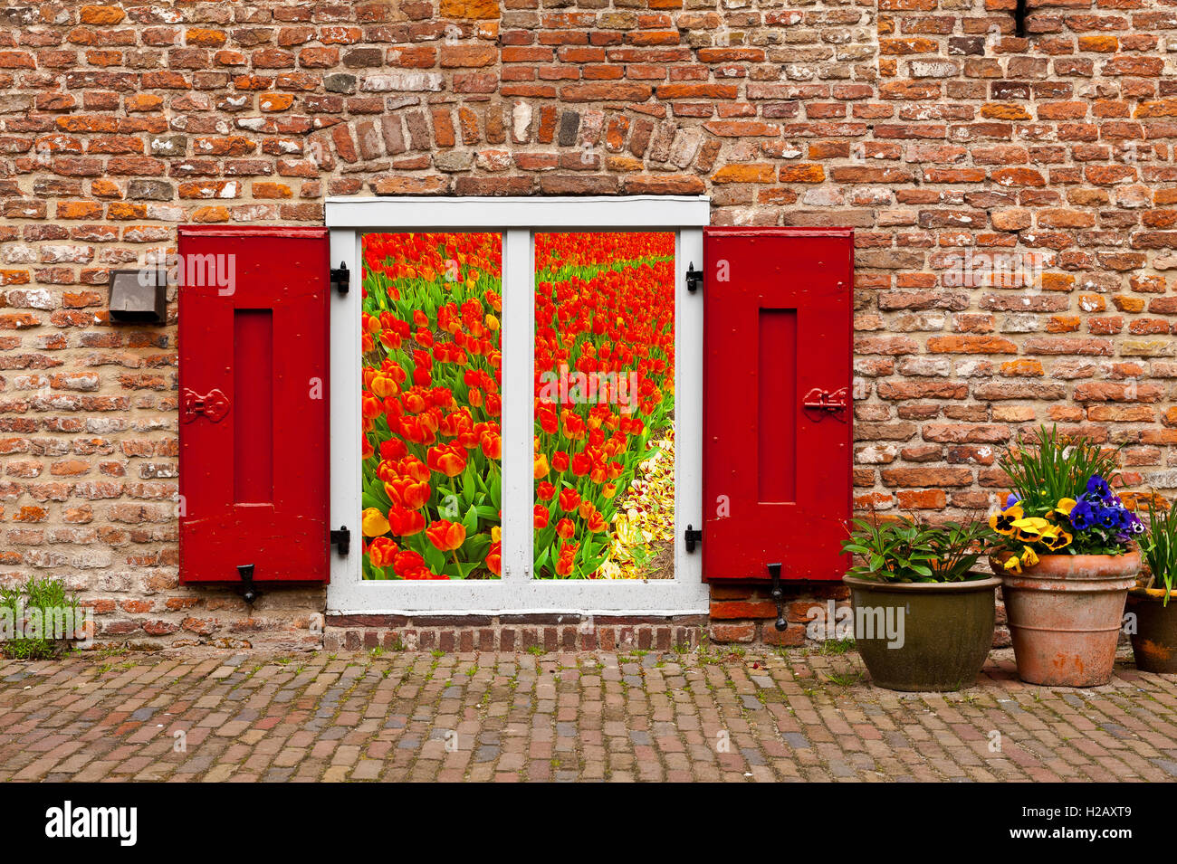 Dutch house open window hi-res stock photography and images - Alamy