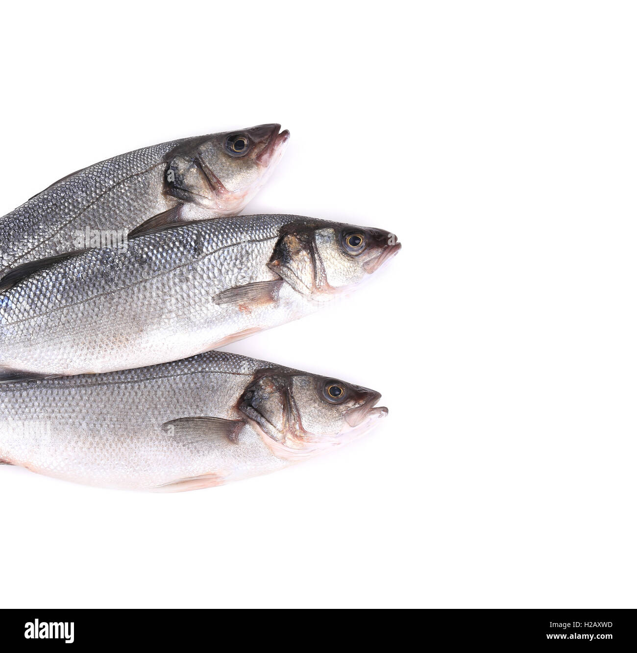 Three fresh fish Stock Photo - Alamy