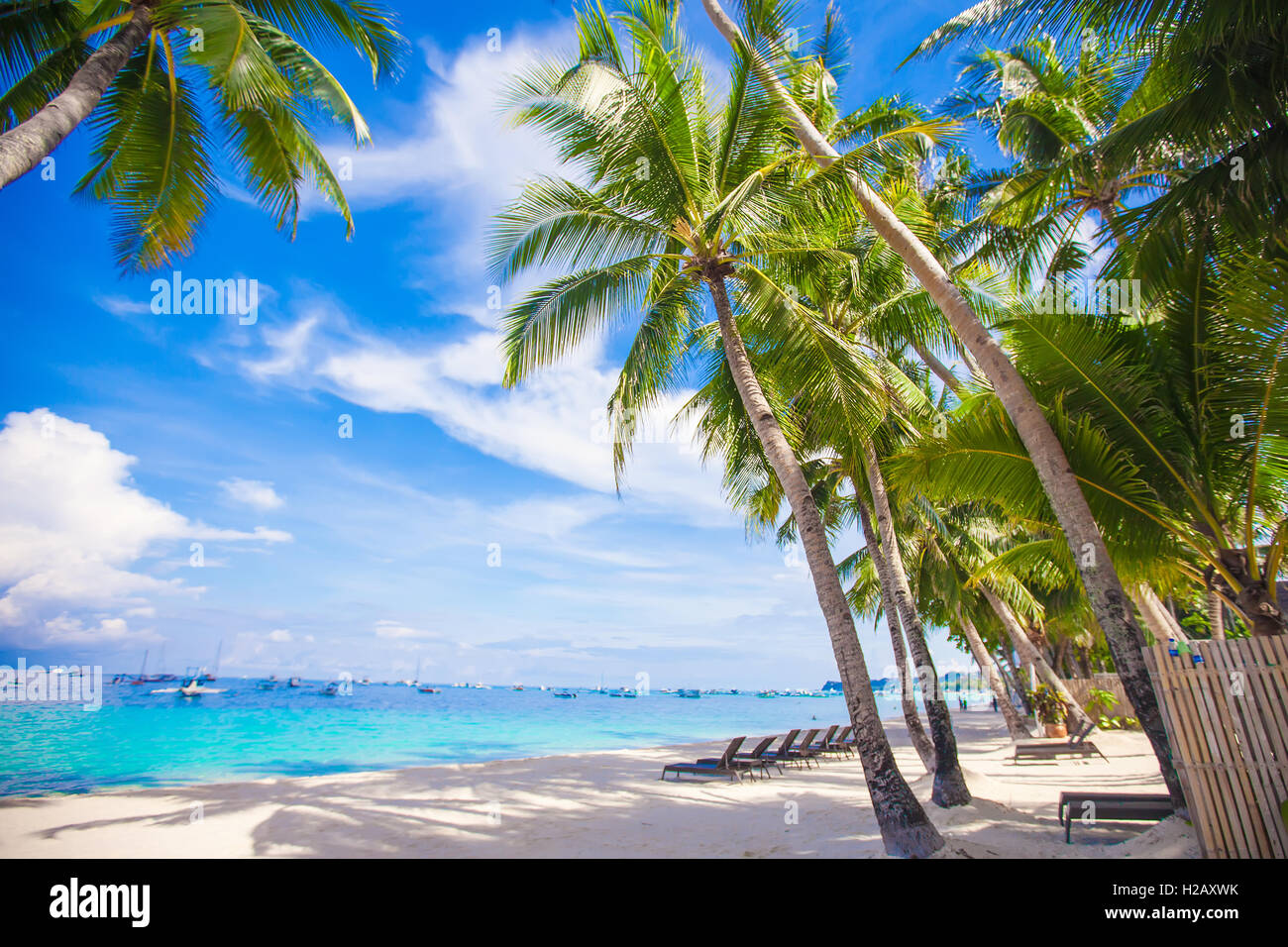 Tropical beach with beautiful palms and white sand, Philippines Stock ...