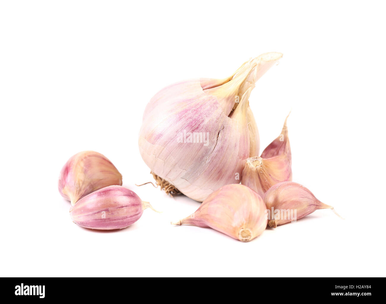 Fresh garlic whole and cloves Stock Photo - Alamy