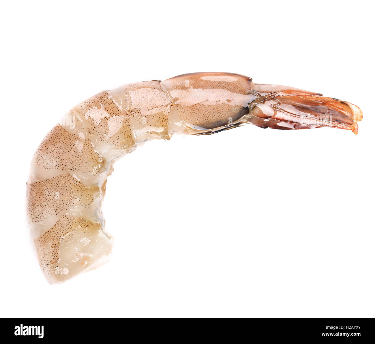 One raw shrimp Stock Photo - Alamy