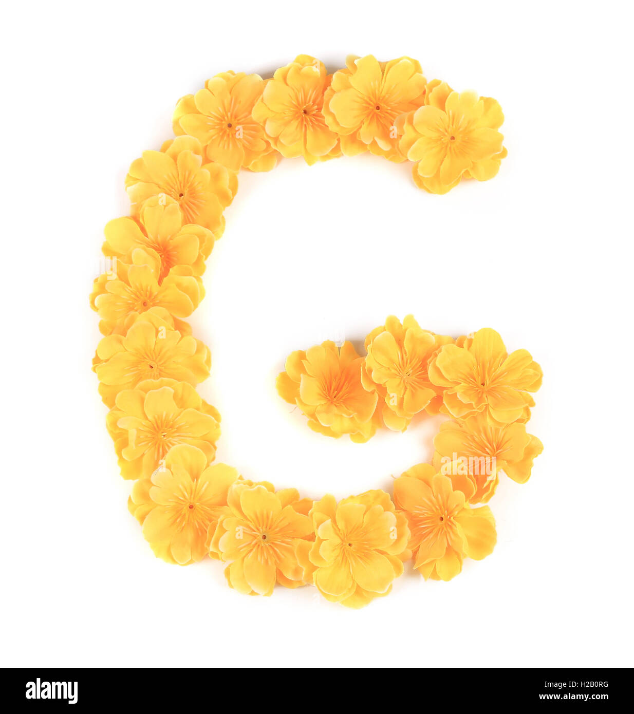 Letter G flower alphabet Stock Photo - Alamy