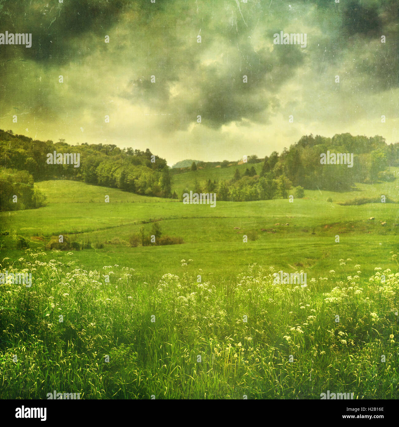 Summer landscape with vintage color filters Stock Photo - Alamy