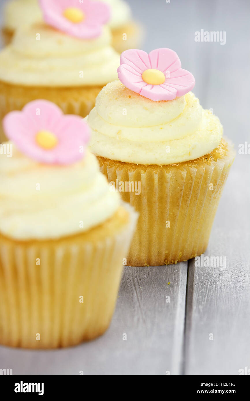 Cupcakes in a Row Stock Photo - Alamy