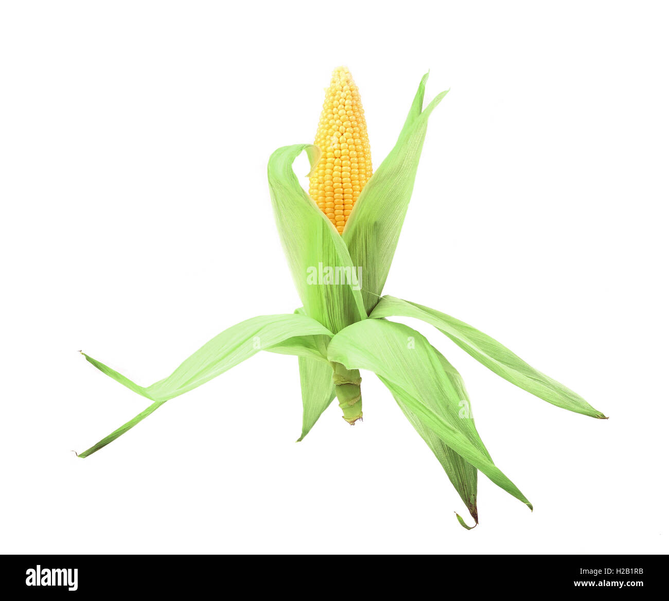 Four rocket Cut Out Stock Images & Pictures - Alamy