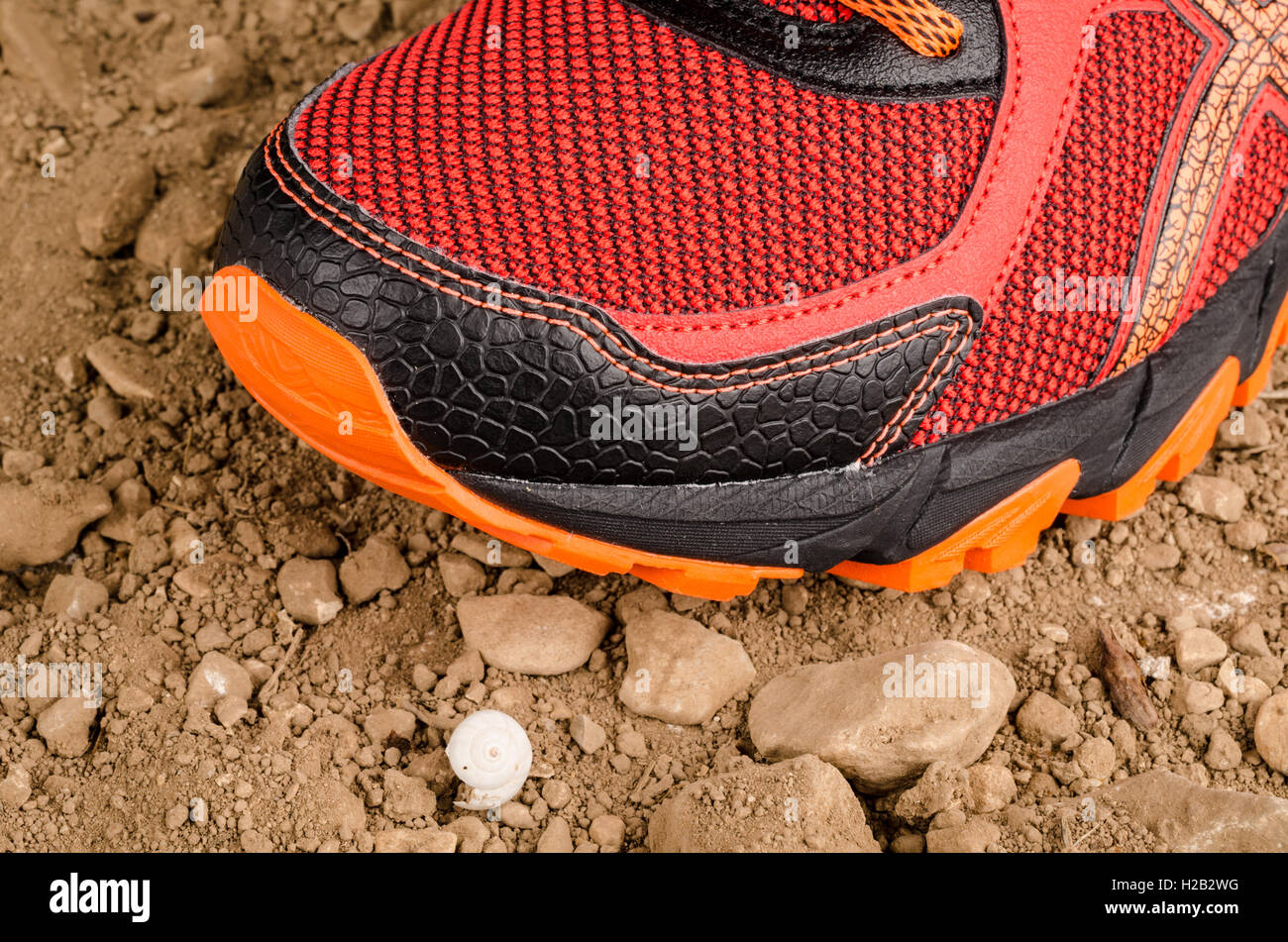 Trainers on rough unpaved ground during cross country running Stock ...
