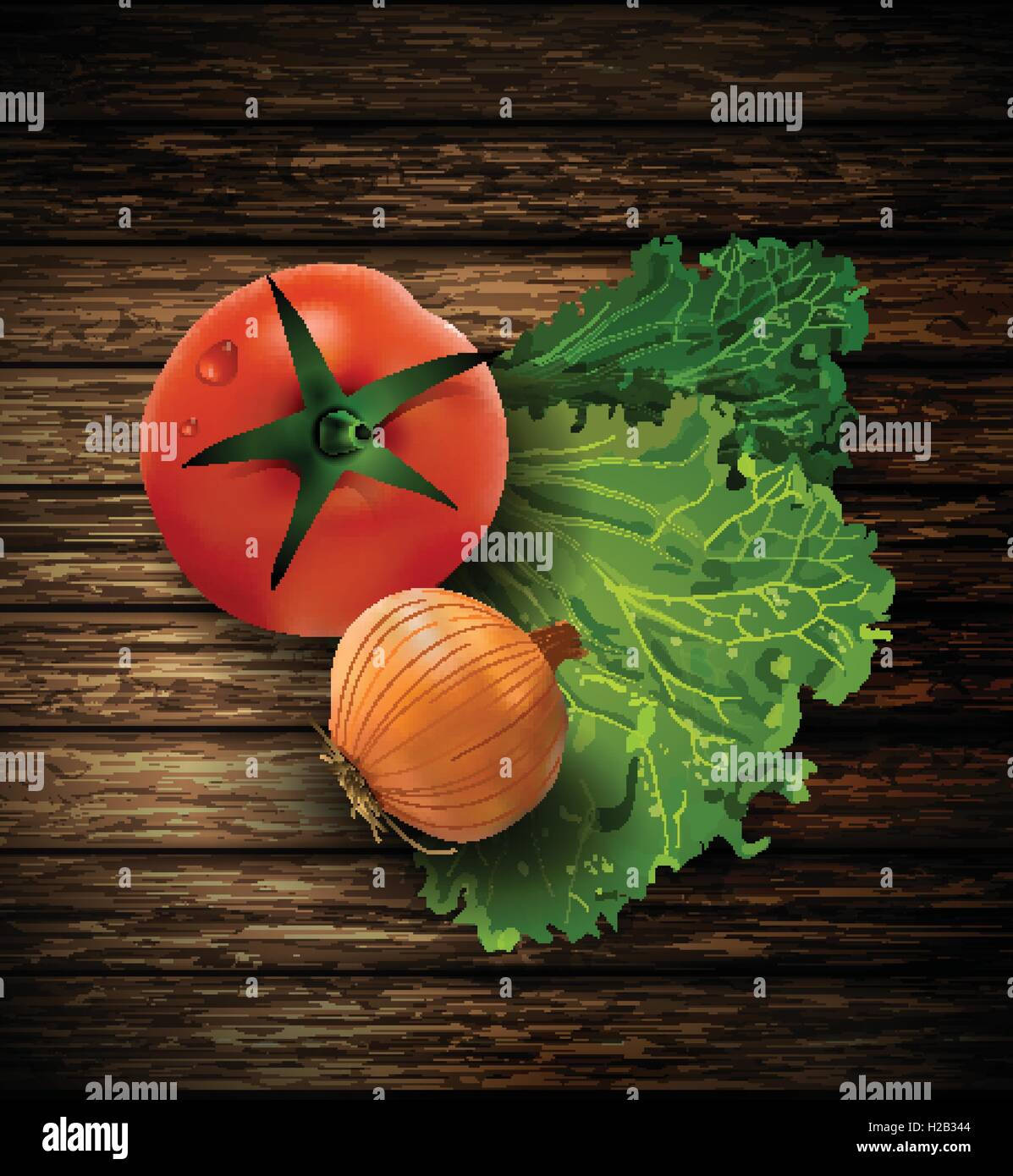 Green onion spring salad Stock Vector Images - Alamy