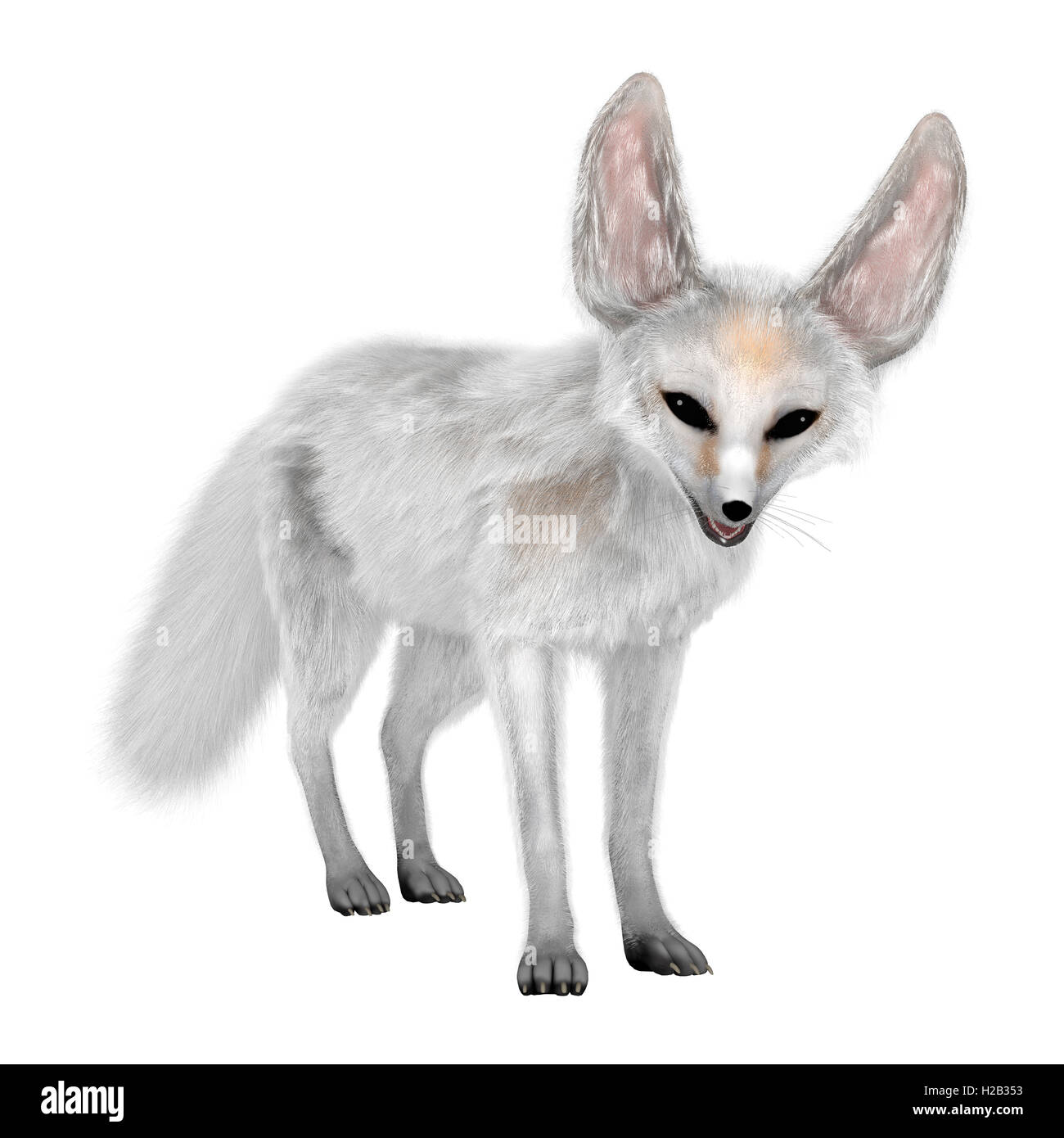 3D rendering of a fennec fox isolated on white background Stock Photo ...