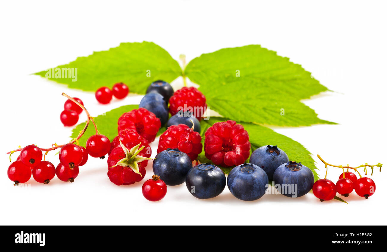 Mix of blueberries, raspberries and currants Stock Photo - Alamy