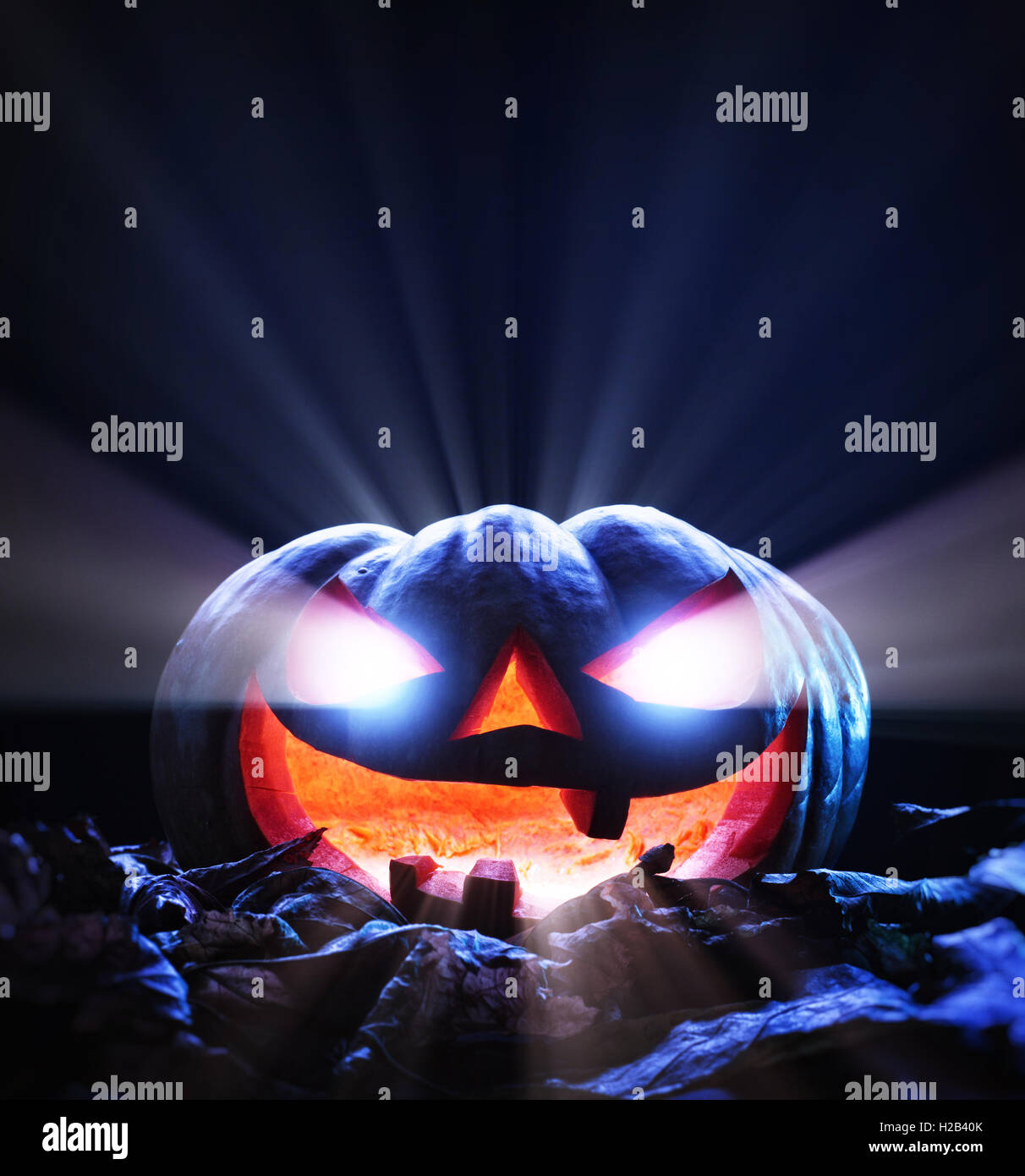 halloween pumpkin and light ray in the night Stock Photo - Alamy