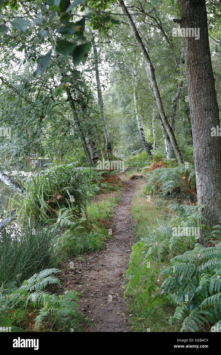 Walk around a pond hi-res stock photography and images - Alamy