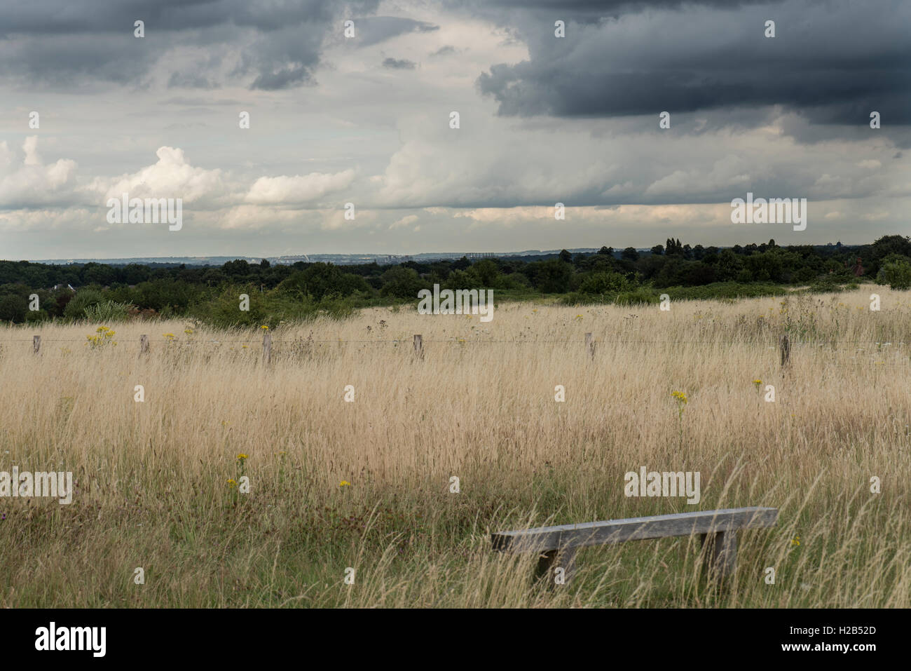 View from Priest's Hill, Ewell, Surrey, UK Stock Photo - Alamy