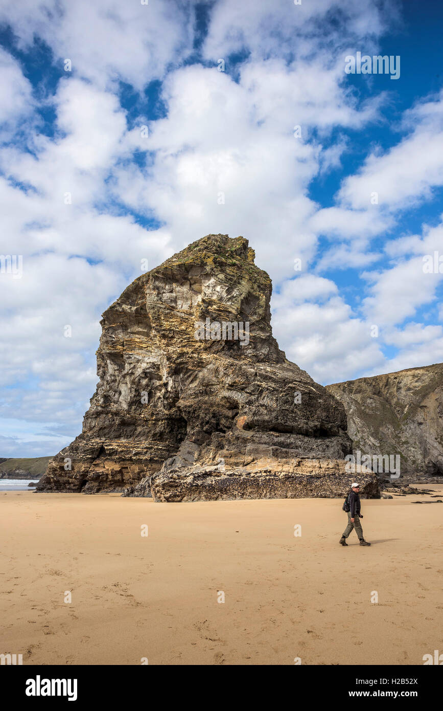 One of the iconic rock stacks at Bedruthan Steps in Cornwall Stock ...