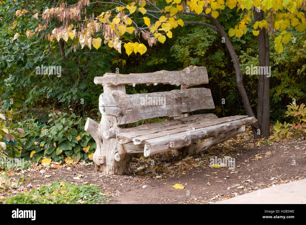 Log bench hi-res stock photography and images - Alamy