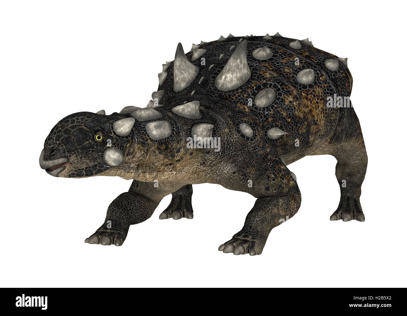 Euoplocephalus High Resolution Stock Photography and Images - Alamy