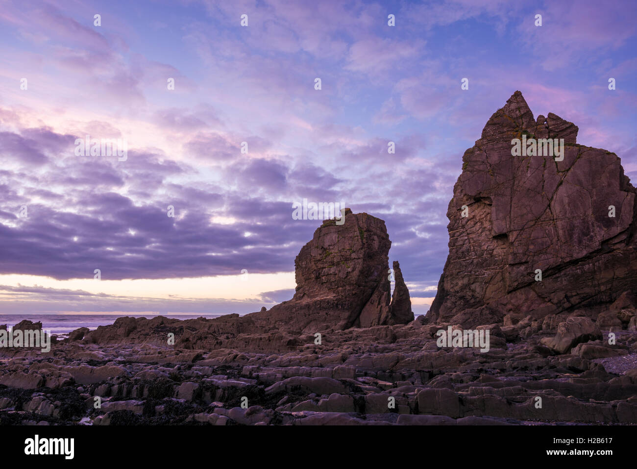 Sea stacks at Sandymouth beach on the North Cornwall coast near Bude ...