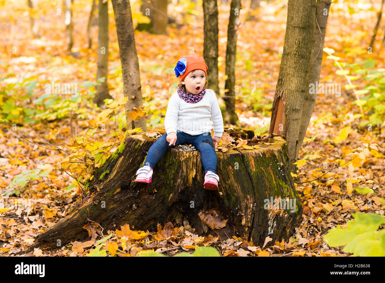 Cute girl sitting on stump in the autumn forest Stock Photo - Alamy