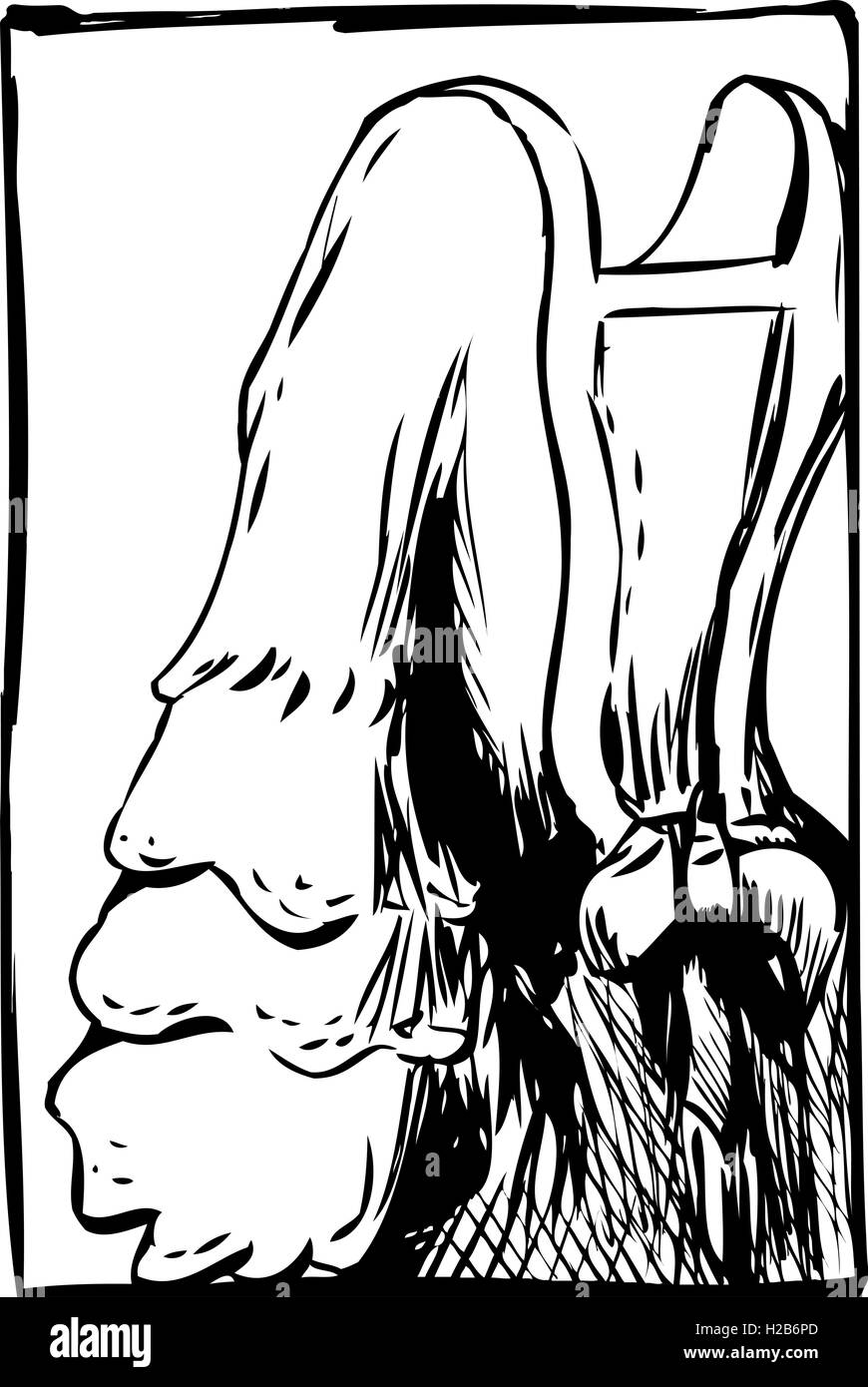 Back quarter view Black and White Stock Photos & Images - Alamy