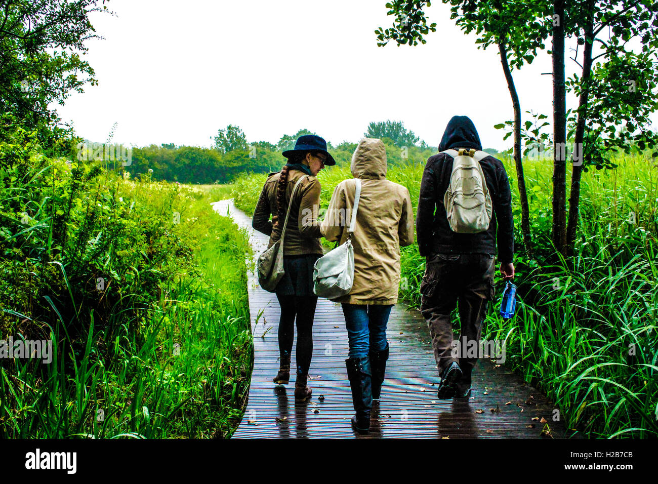 Friends walking down a path Stock Photo - Alamy