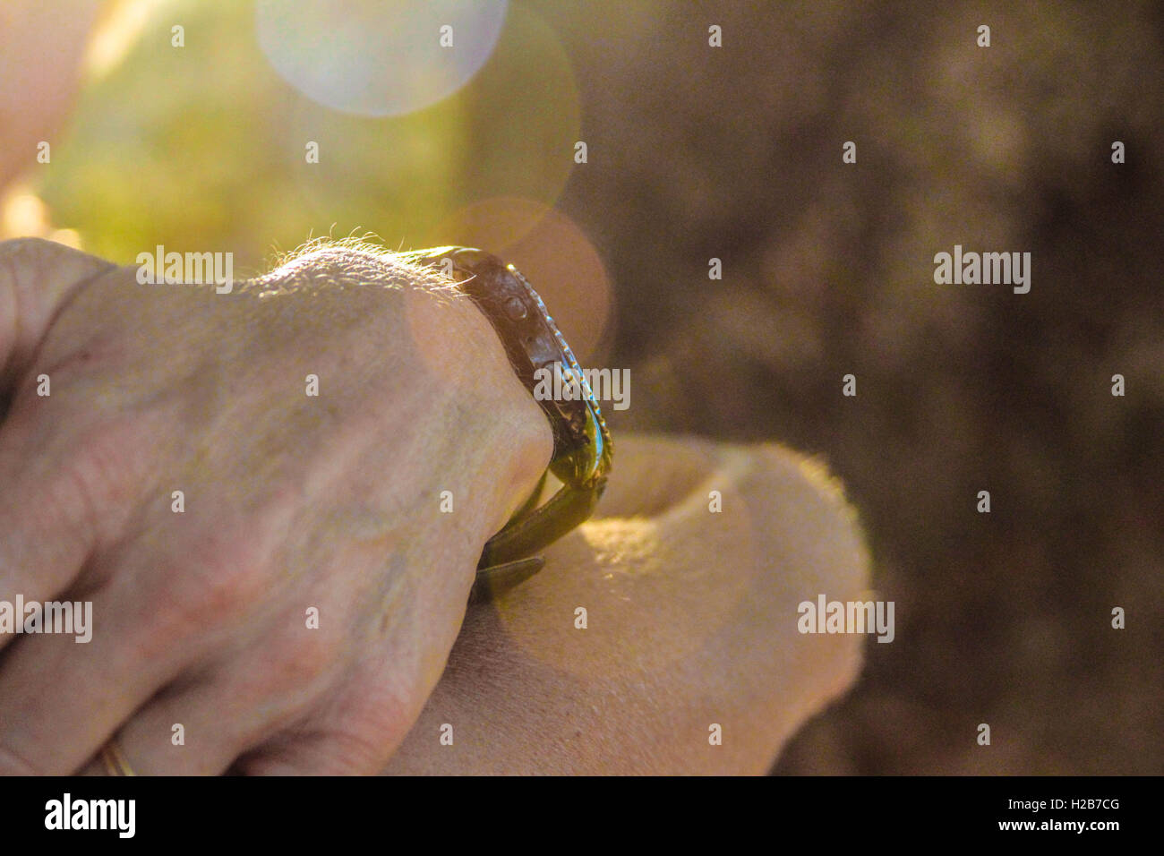 Hands with a watch Stock Photo - Alamy