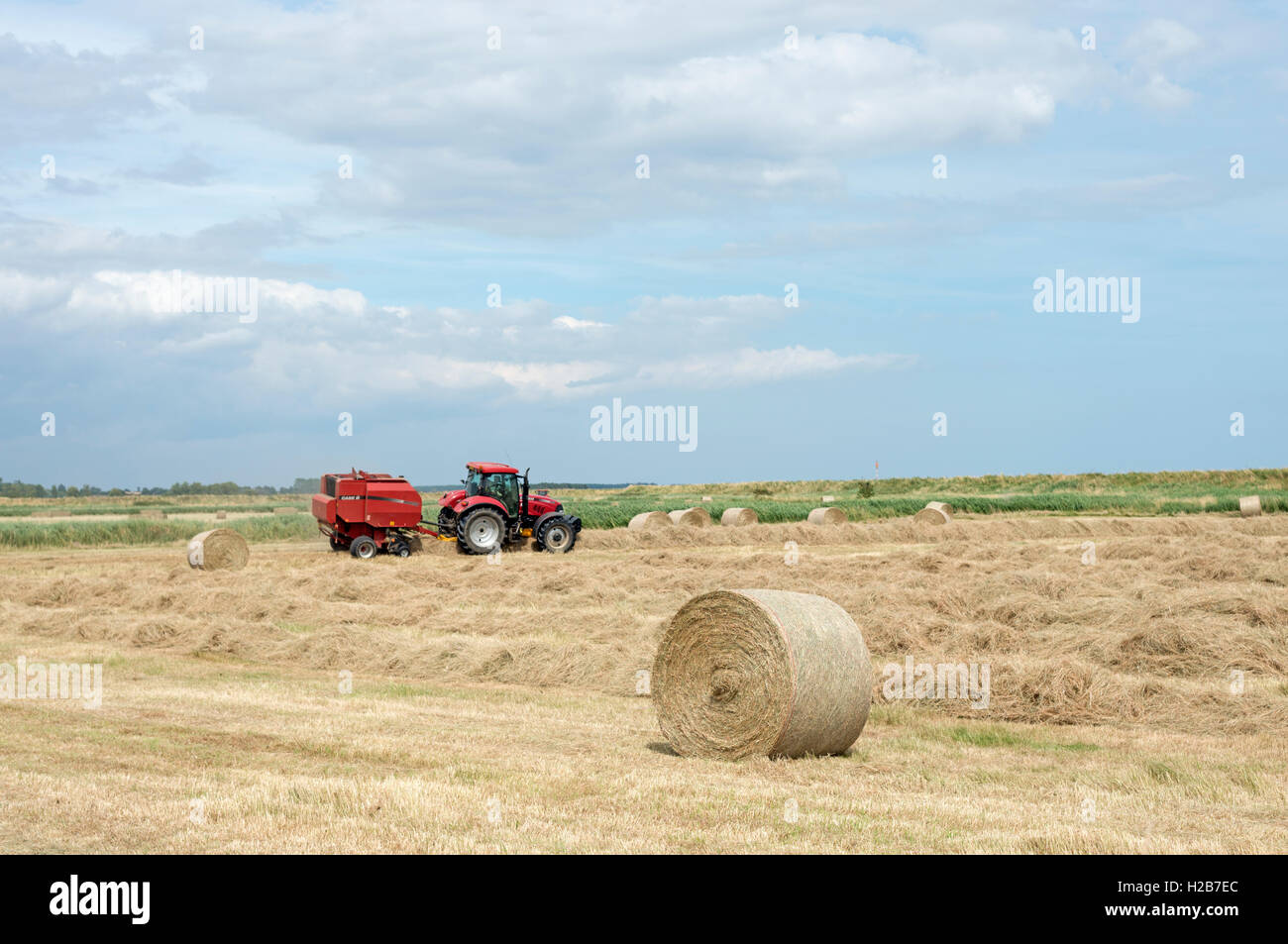 Round hay bales, Shingle Street, Suffolk, UK Stock Photo - Alamy