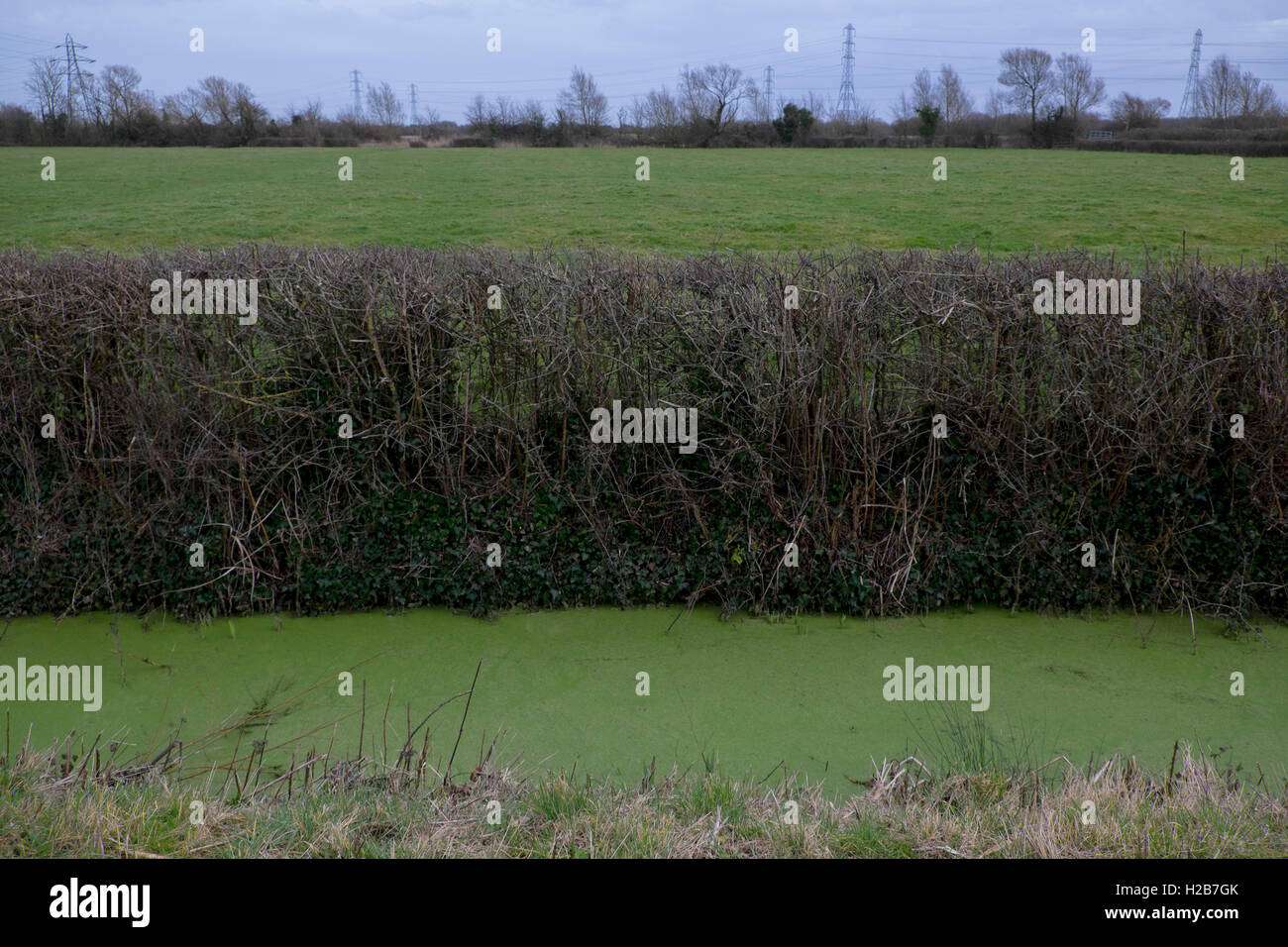 Gwent levels wales hi-res stock photography and images - Alamy