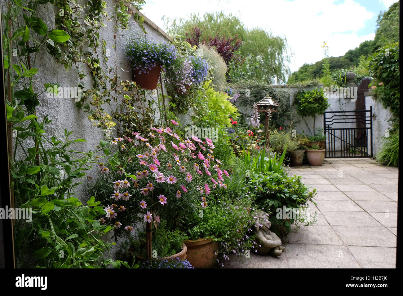 Traditional cottage with walled garden, Pentyrch, Cardiff, Wales, UK ...