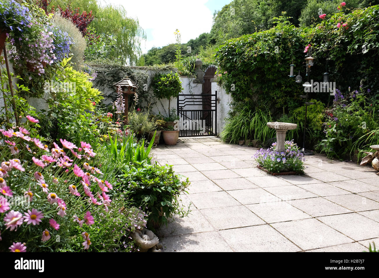 Walled, cottage garden, Pentyrch, Cardiff, Wales, UK Stock Photo - Alamy