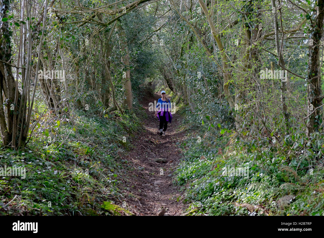 Elderly exercise hiking hi-res stock photography and images - Alamy