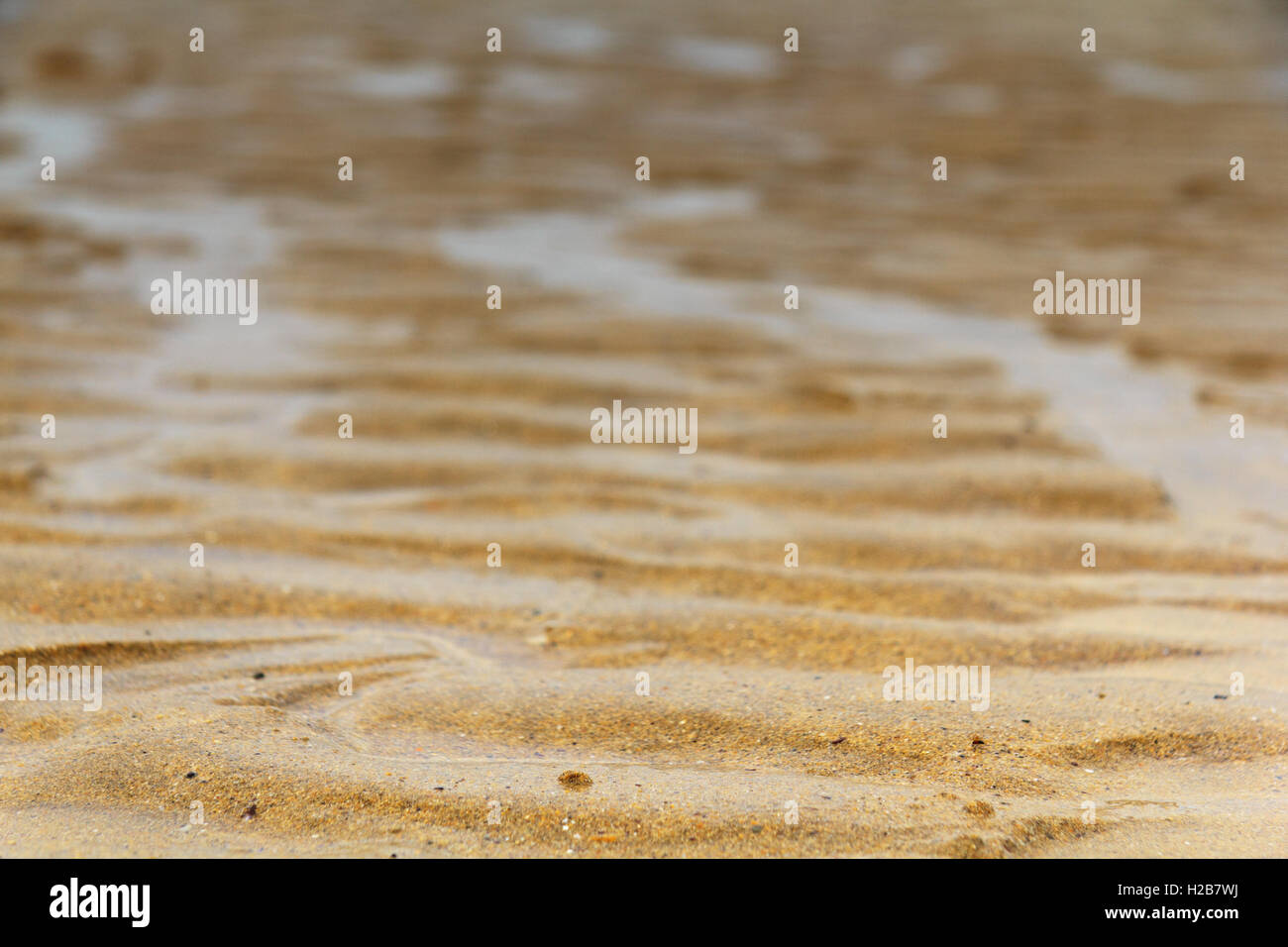 Close up of wet sand on the beach Stock Photo - Alamy