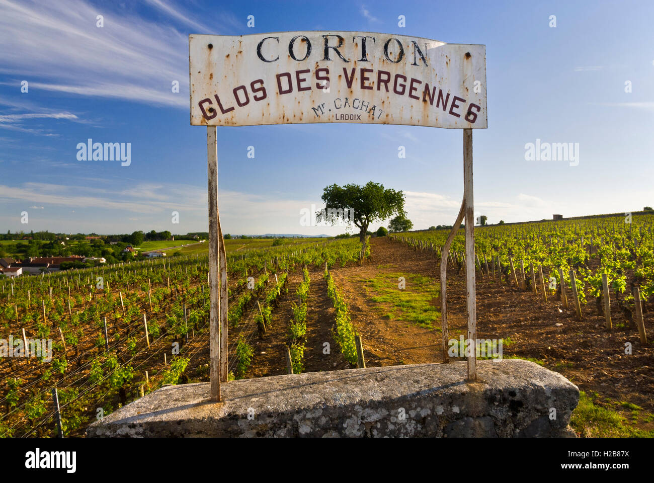 CORTON Rustic sign for Clos des Vergennes vineyard in late spring ...