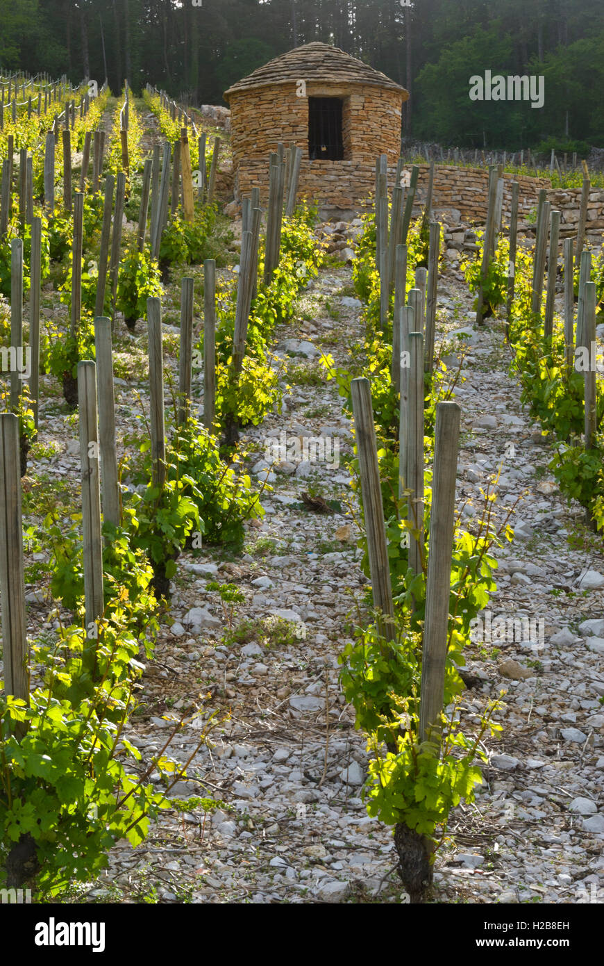 Grape pickers hut hi-res stock photography and images - Alamy