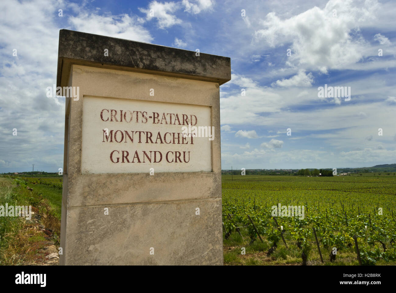 BATARD MONTRACHET Stone entrance pillar to Criots-Batard Montrachet ...