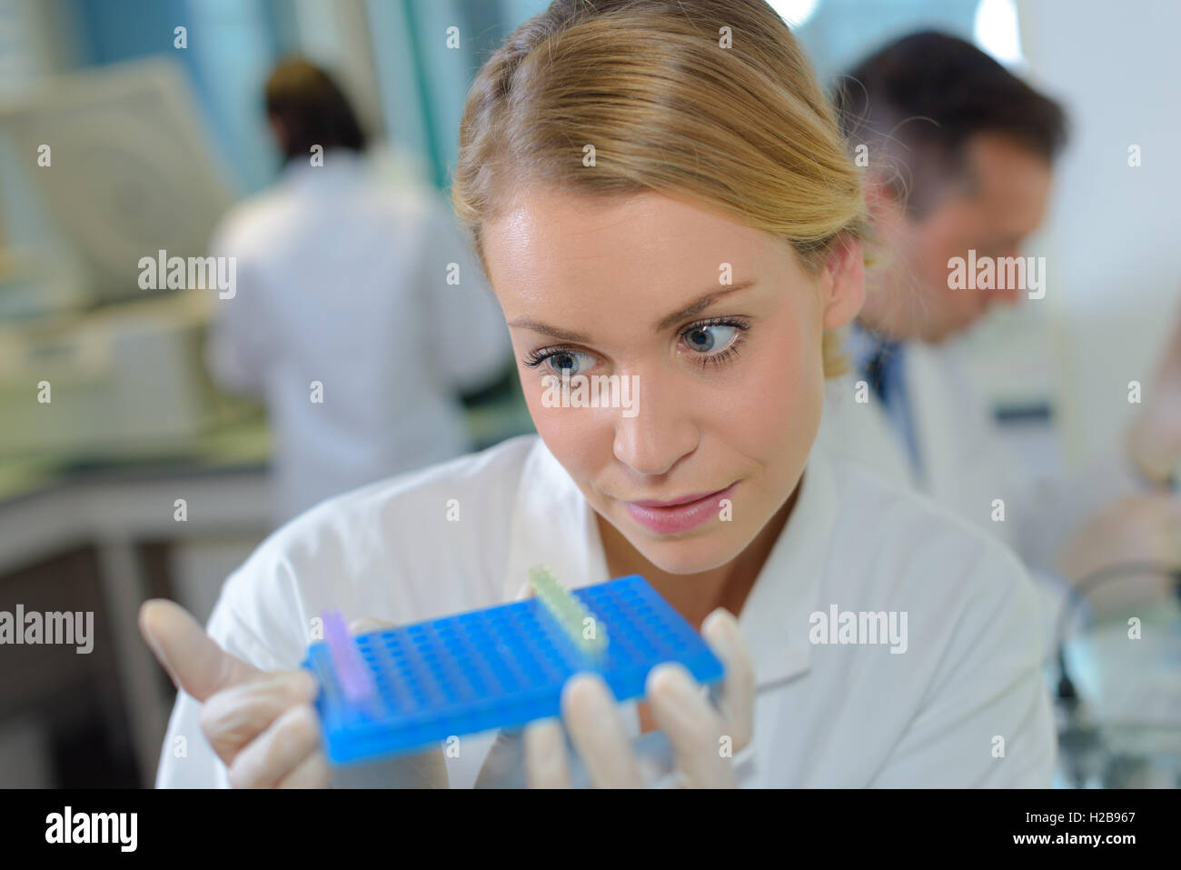 the test tubes Stock Photo - Alamy